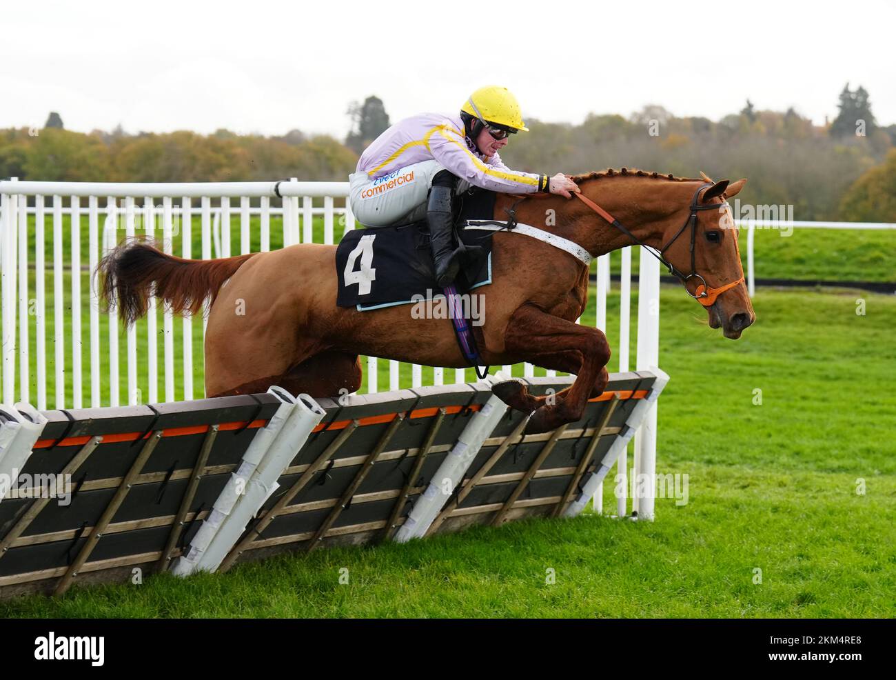 Luccia racecourse hi-res stock photography and images - Alamy