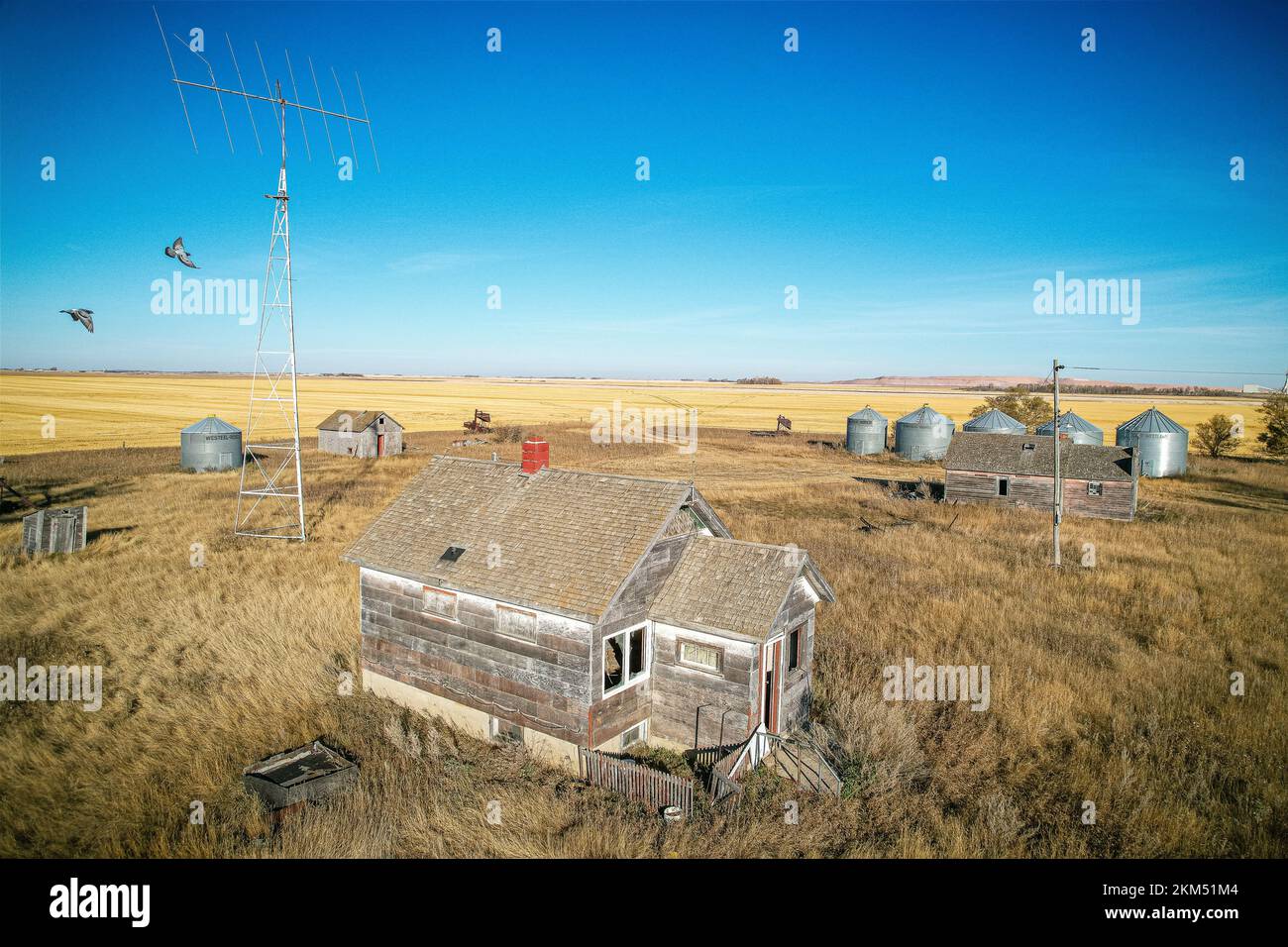 An abandoned homestead near Allan, Saskatchewan, Canada Stock Photo - Alamy