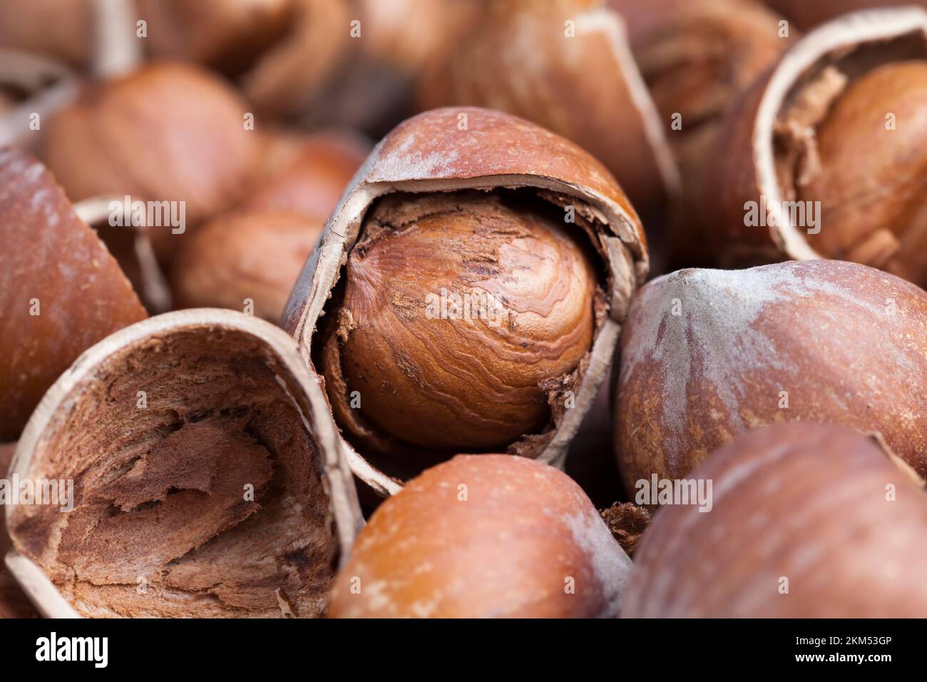 ripe hazelnuts ready for eating, hazelnuts peeled from the shell Stock ...