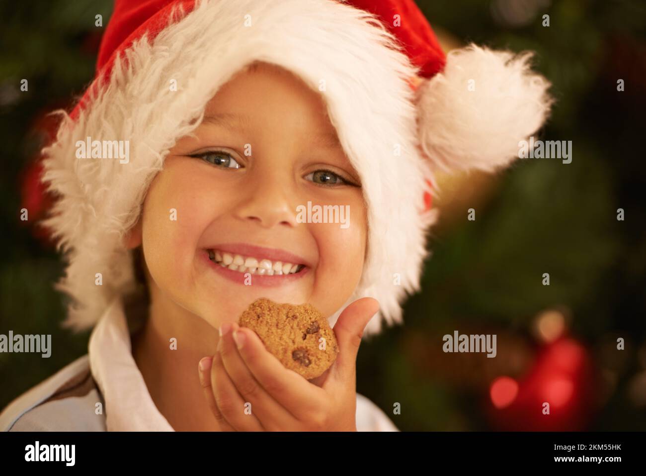 Christmas, young child with cookie and smile in portrait, holiday and ...