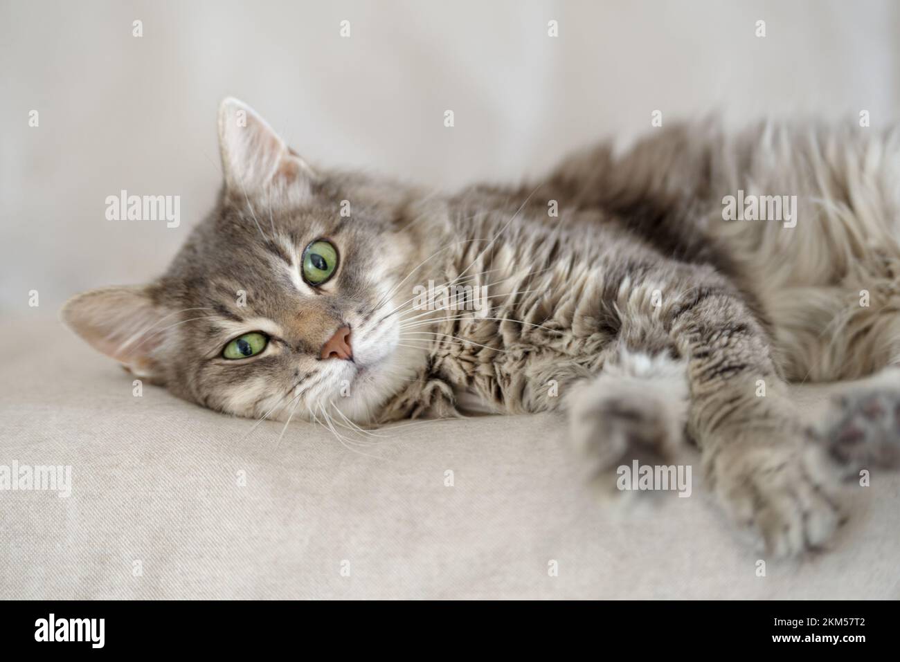 14 to 15 year old hi-res stock photography and images - Alamy