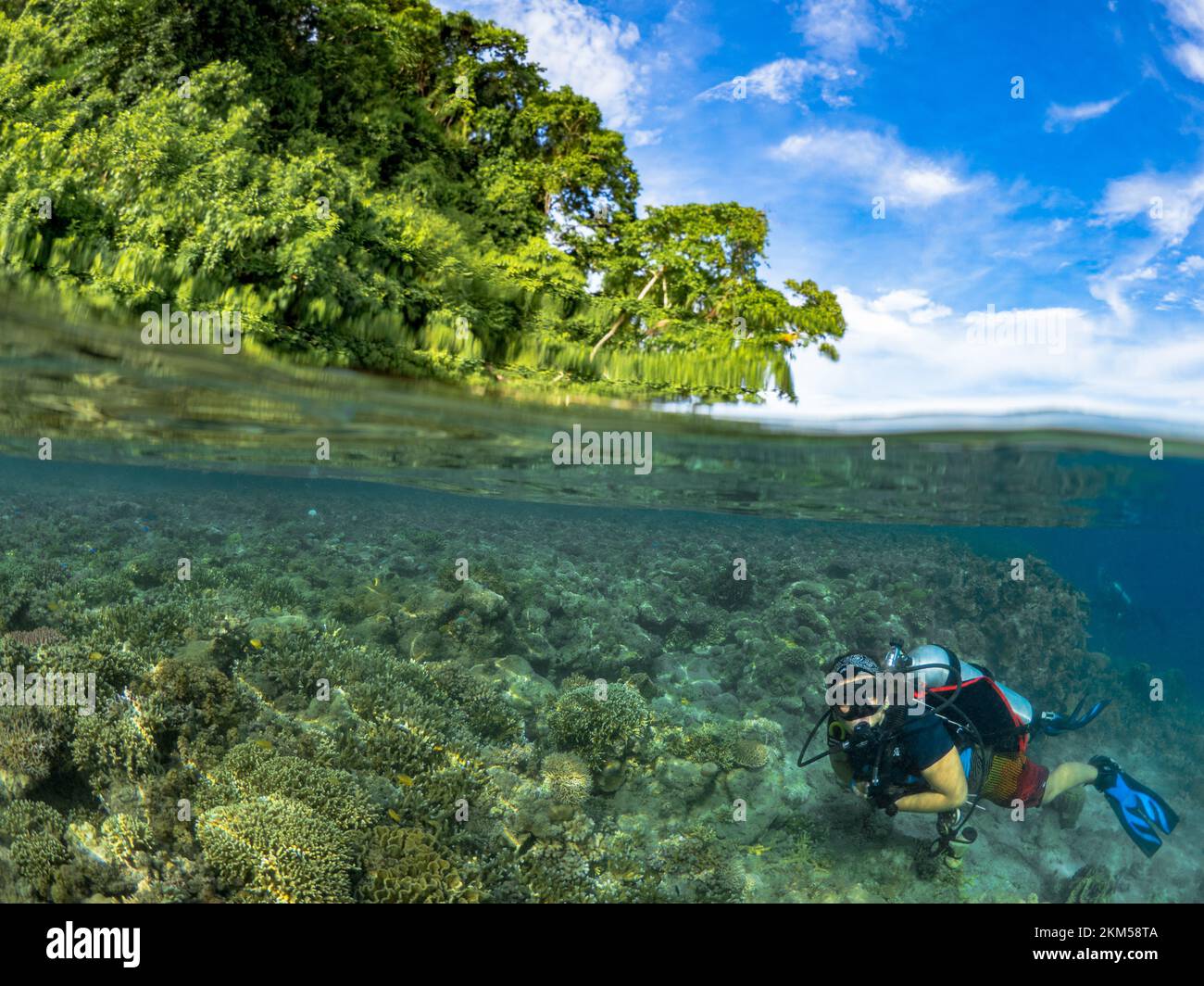 Female scuba diver finding tropical reef fish while guiding Scuba Dive ...