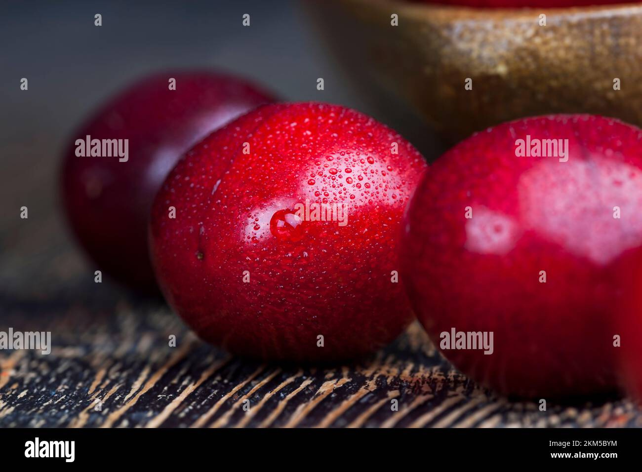 fresh ripe red sweet cherries, harvested ripe sweet cherries of red ...