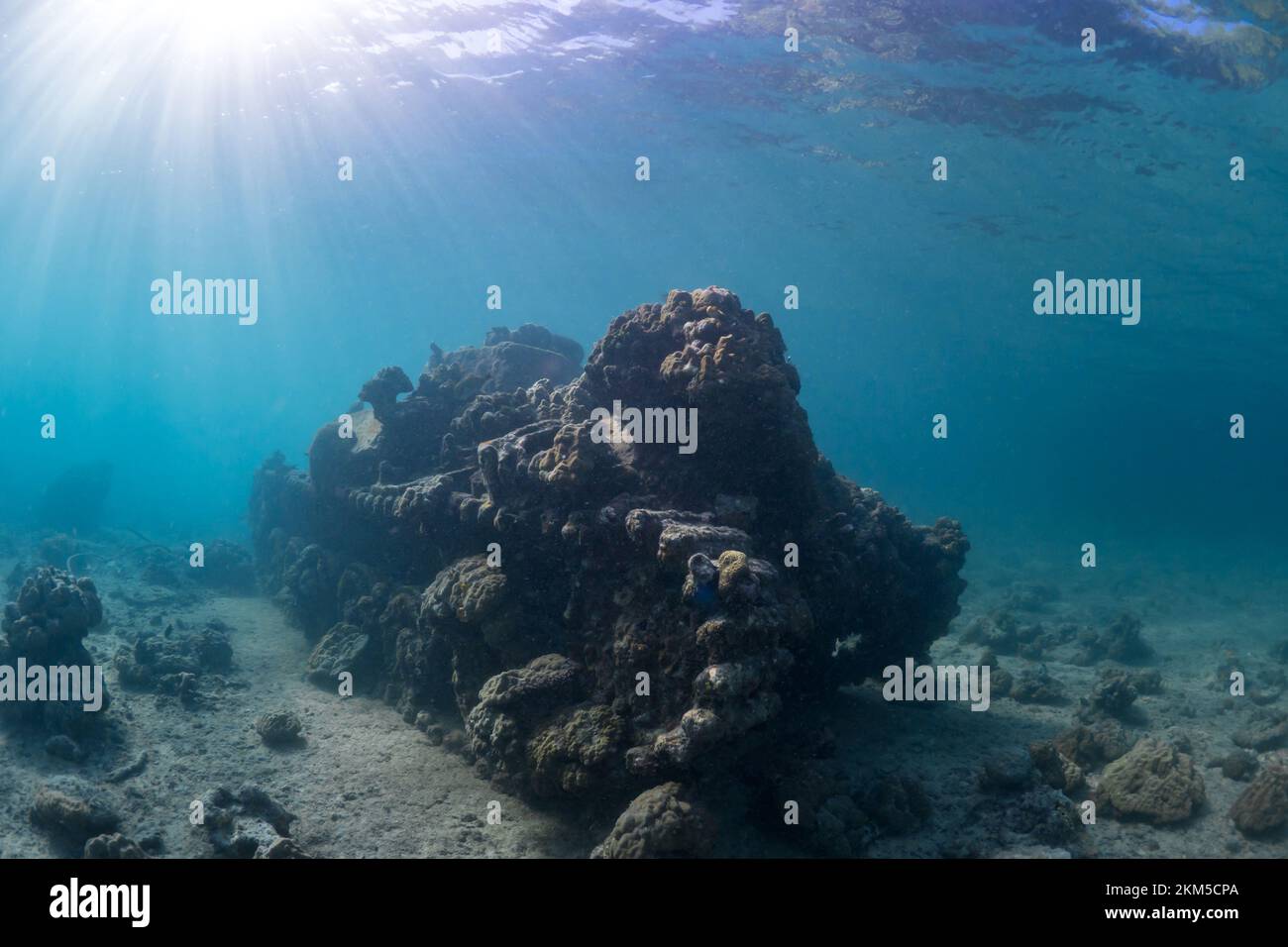 Tank wreck wwii hi-res stock photography and images - Alamy