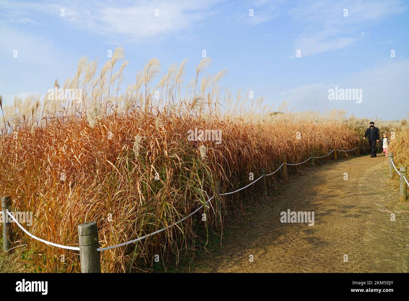 Haneul Park, World Cup Seoul Park, Seoul, South Korea Stock Photo - Alamy