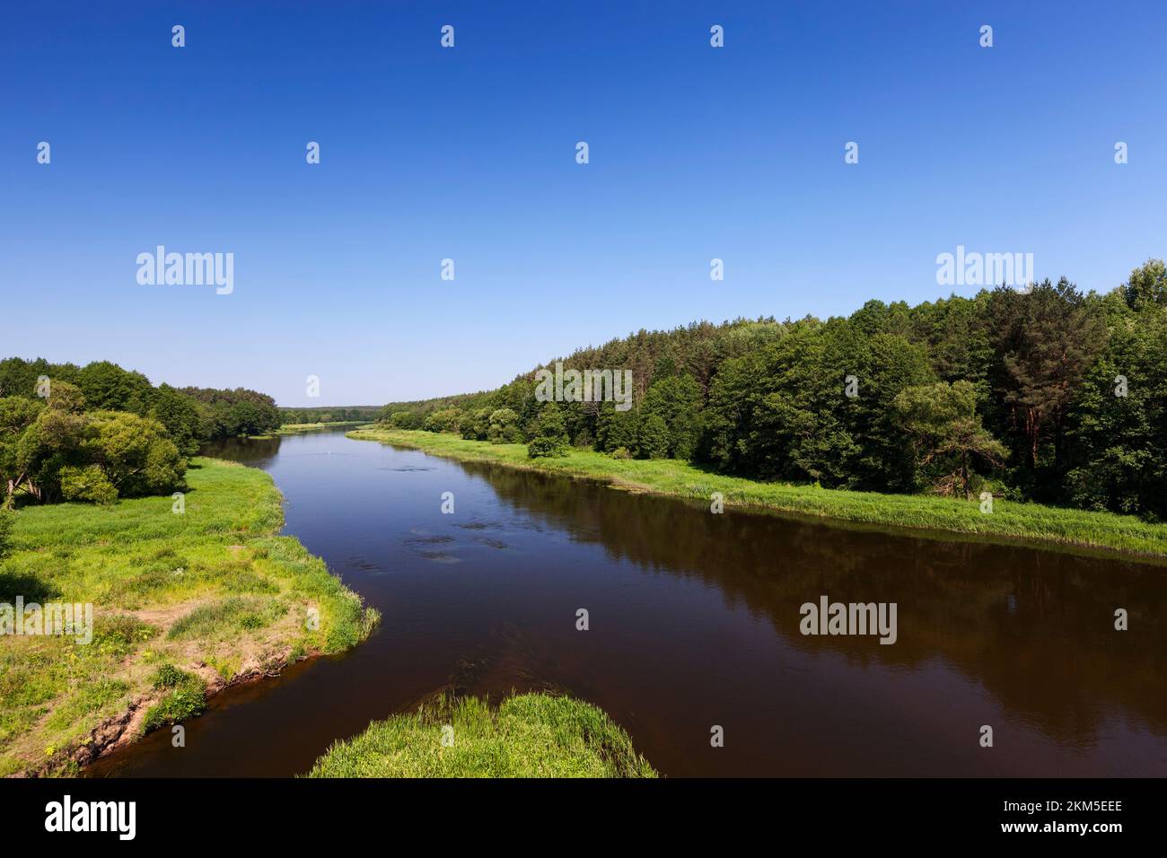 a summer landscape with green grass and deciduous trees and a river ...