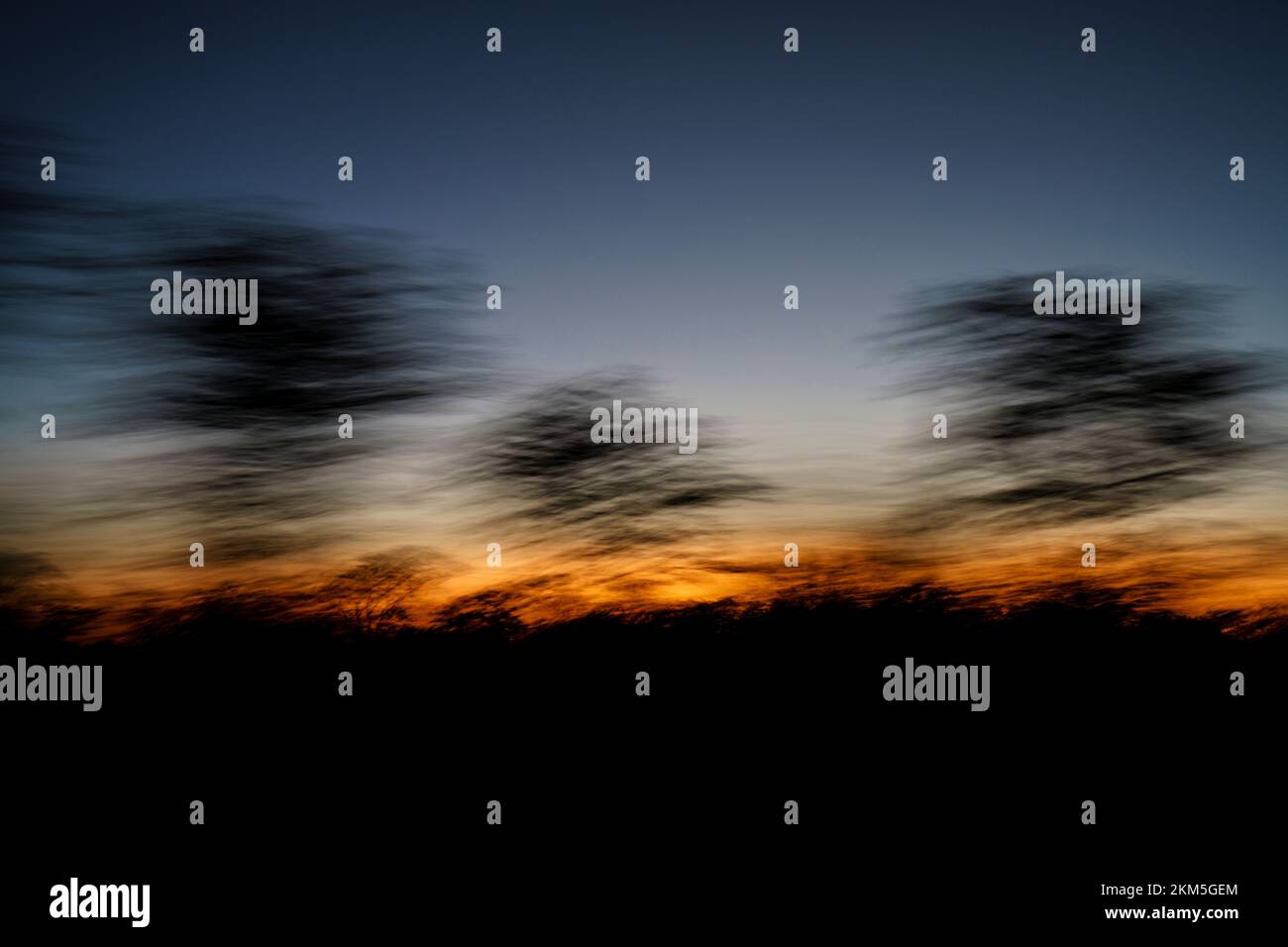 Artistic movement-image of the African sunset with silhouettes of trees ...