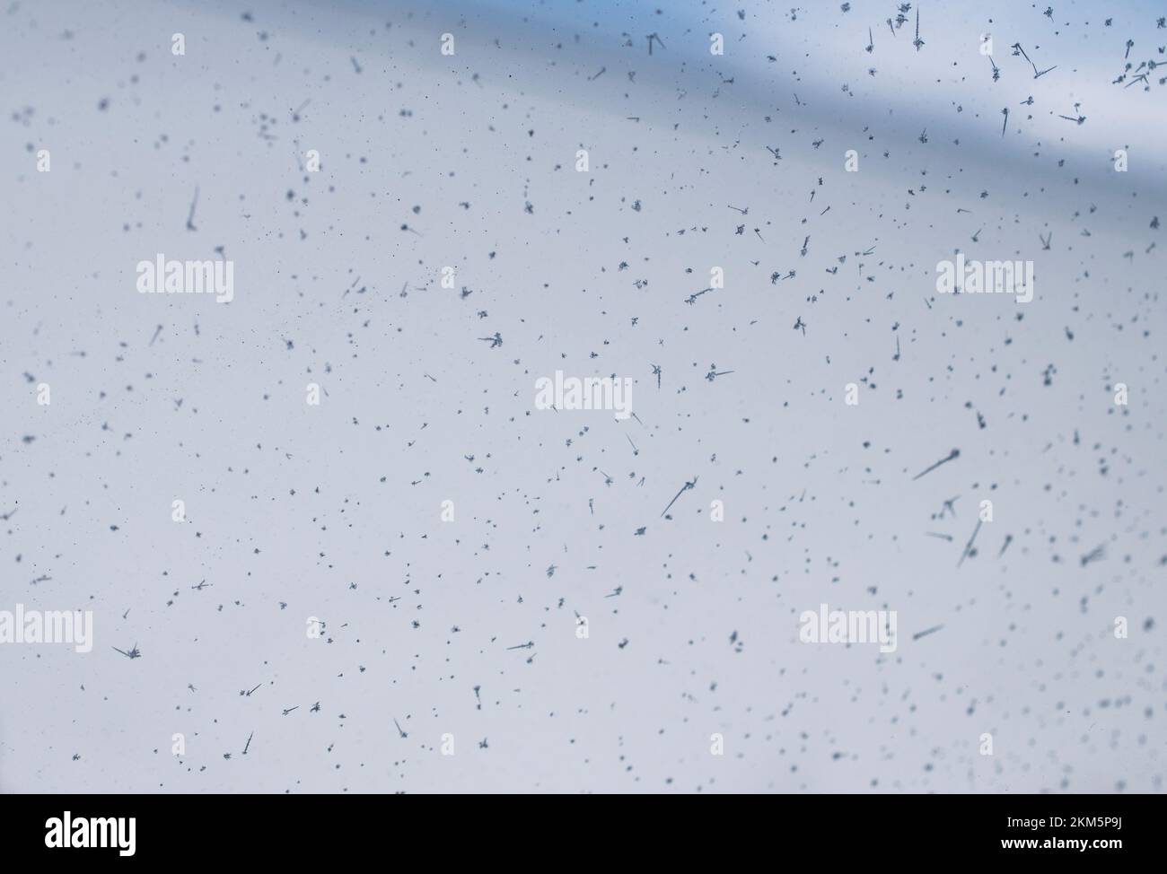 Small ice crystals form on the airplane window Stock Photo - Alamy