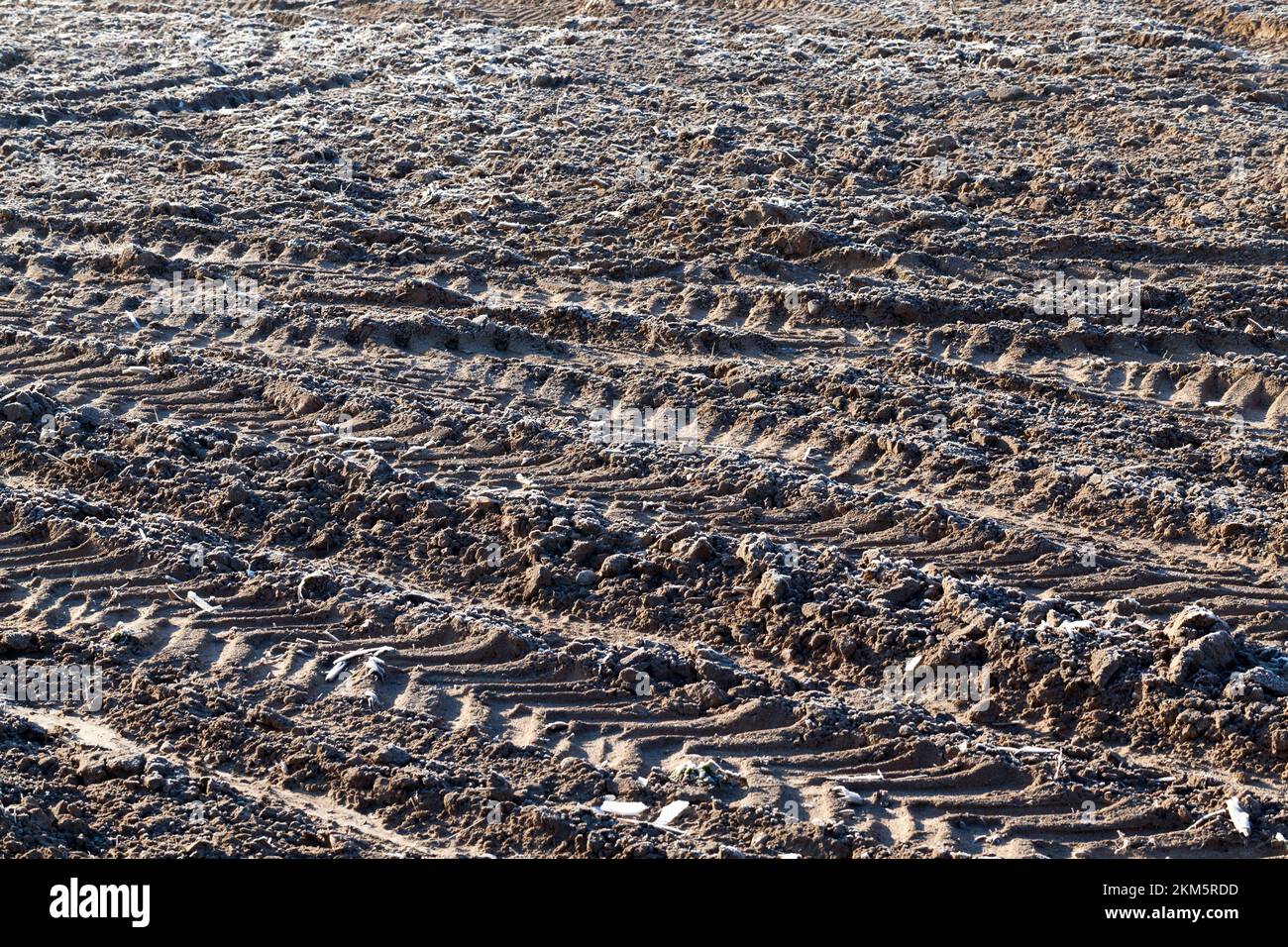 agricultural field with traces of cars, frozen soil on the village farm ...