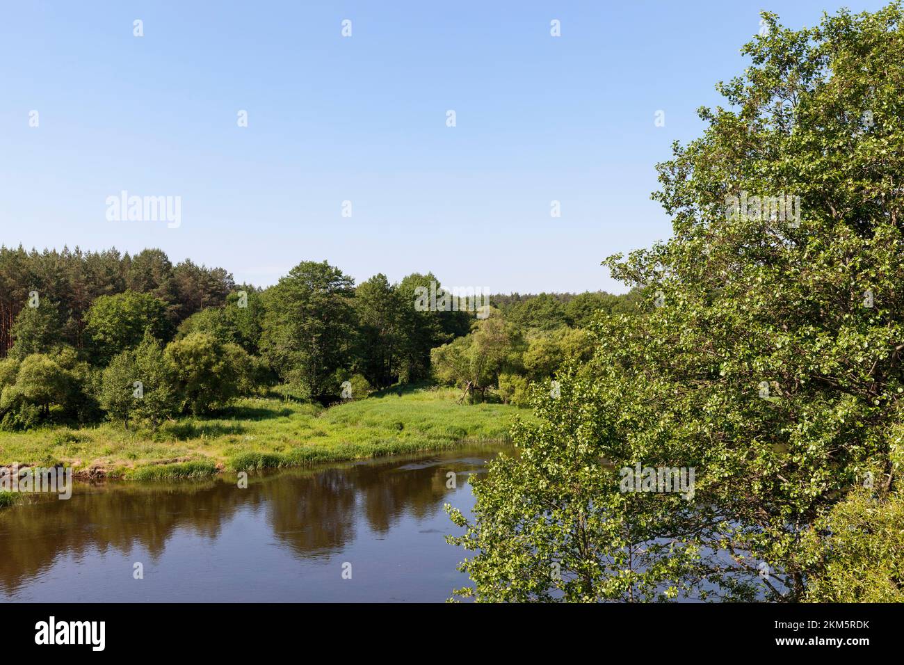 a summer landscape with green grass and deciduous trees and a river ...