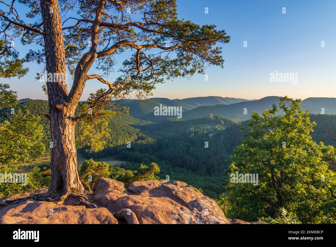 Lembach: Fleckenstein Castle in Palatinate Forest-North Vosges ...