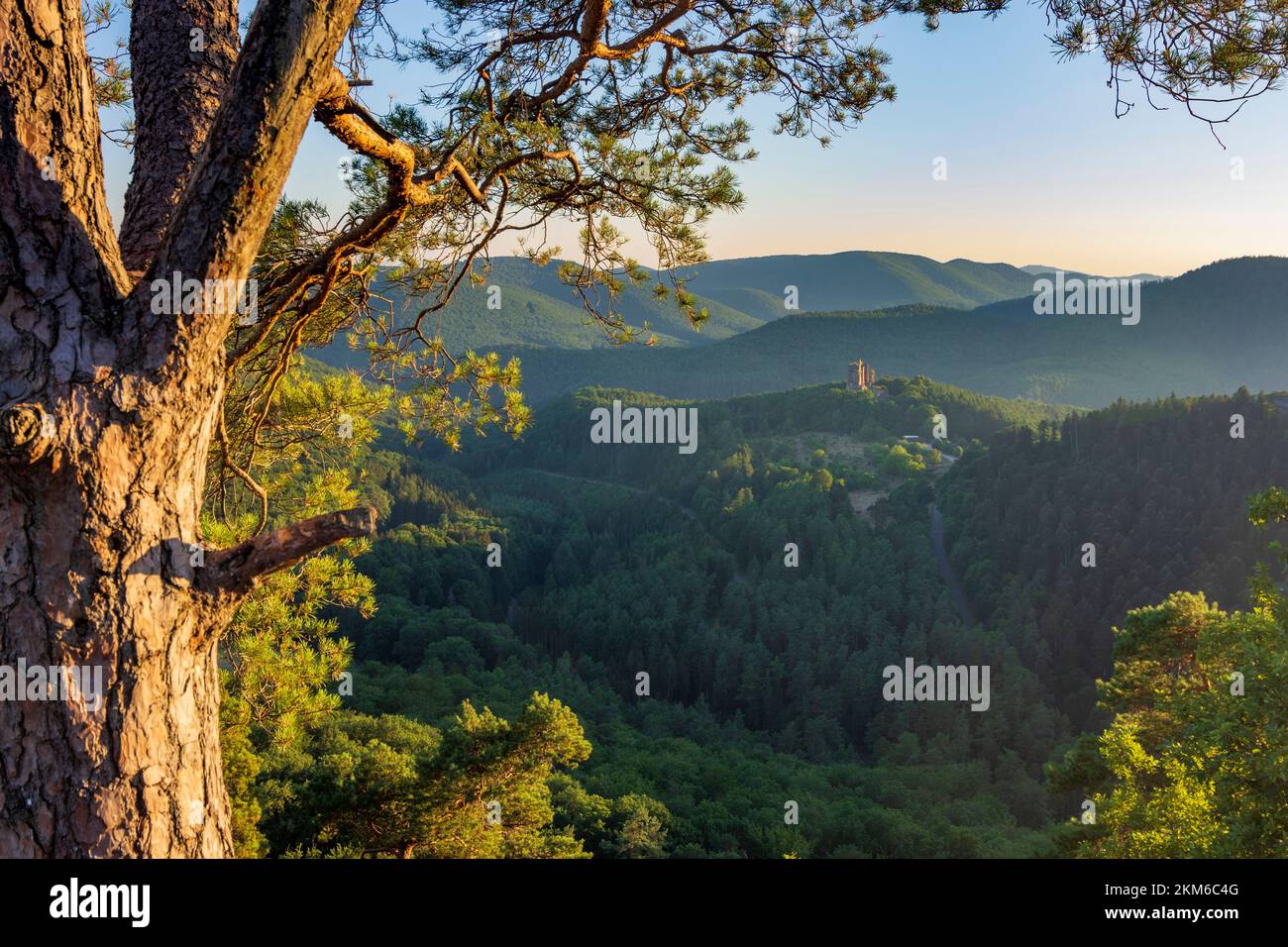 Lembach: Fleckenstein Castle in Palatinate Forest-North Vosges ...