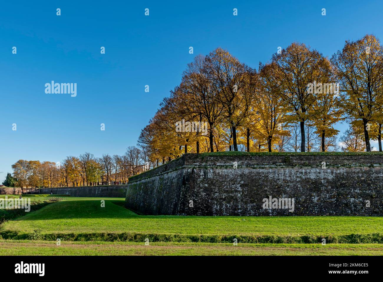 The trees on the ancient perimeter walls of Lucca, Italy, with the ...