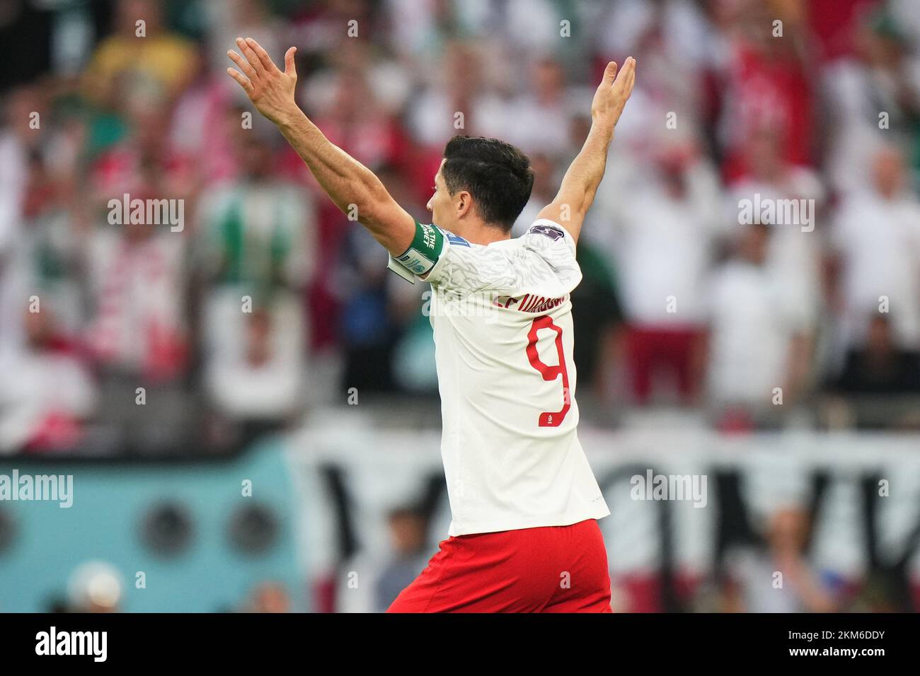 Robert Lewandowski during the FIFA World Cup, Qatar. , . in Doha, Qatar ...