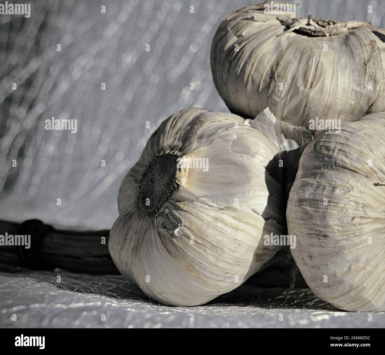 3 piece of garlic and over a clear background (still life Stock Photo ...