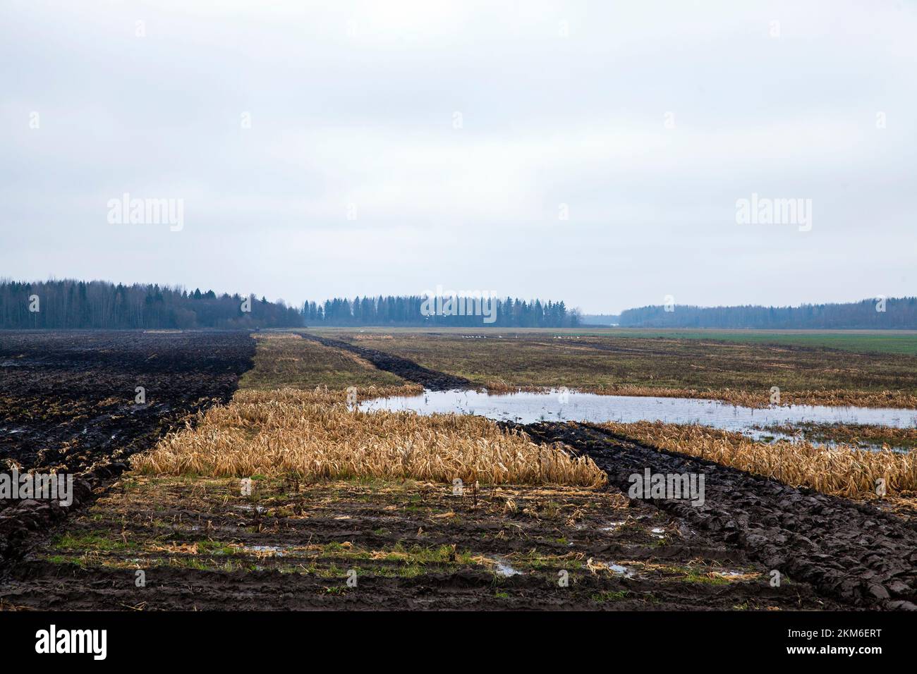 Mud ruts hi-res stock photography and images - Alamy