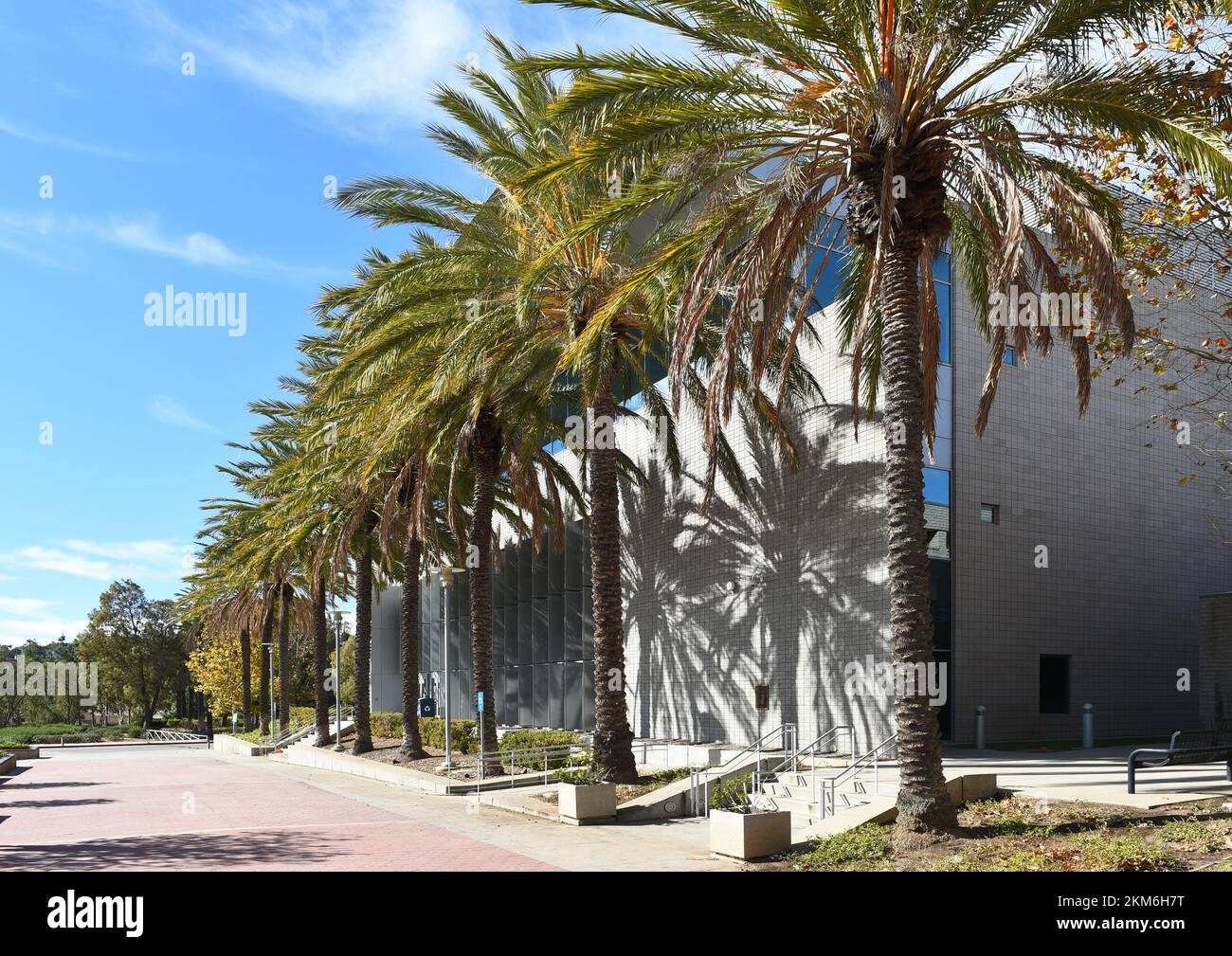 ORANGE, CALIFORNIA - 25 NOV 2022: Row of Palm trees in front of the ...