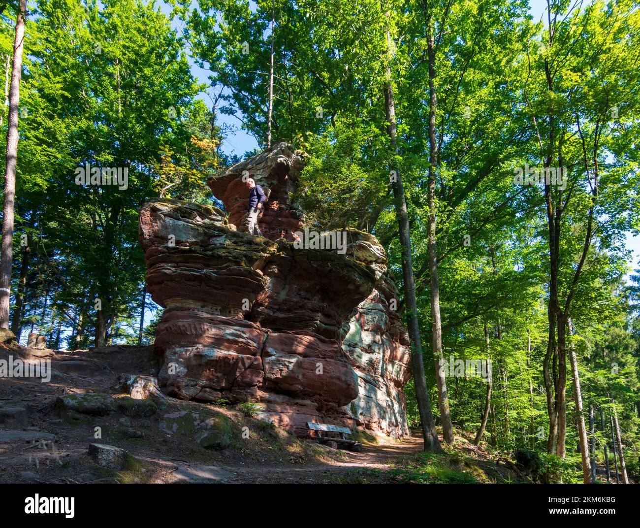 Biosphere reserve pfalzerwald nordvogesen hi-res stock photography and ...