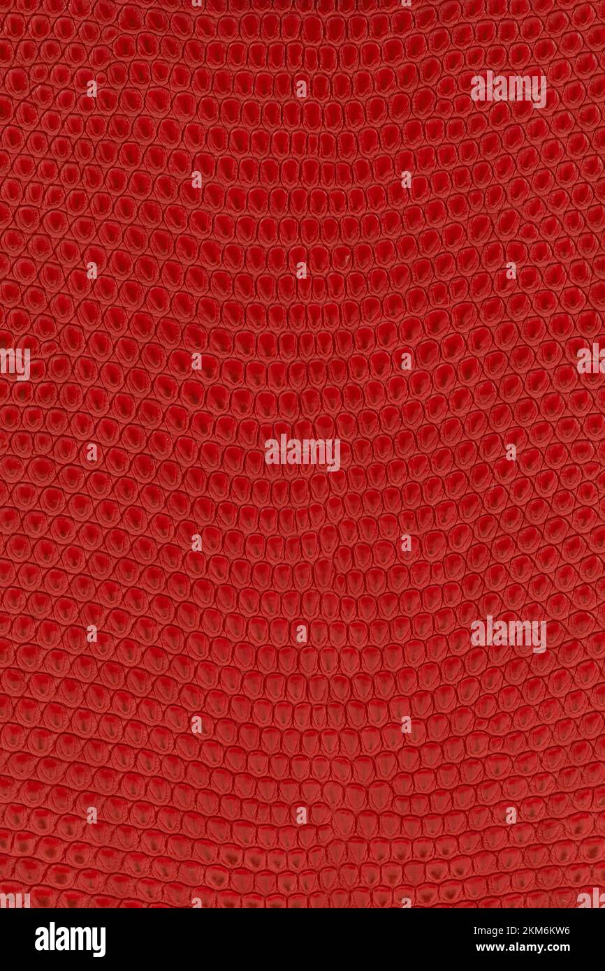 red lizard skin. reptile leather texture background Stock Photo - Alamy