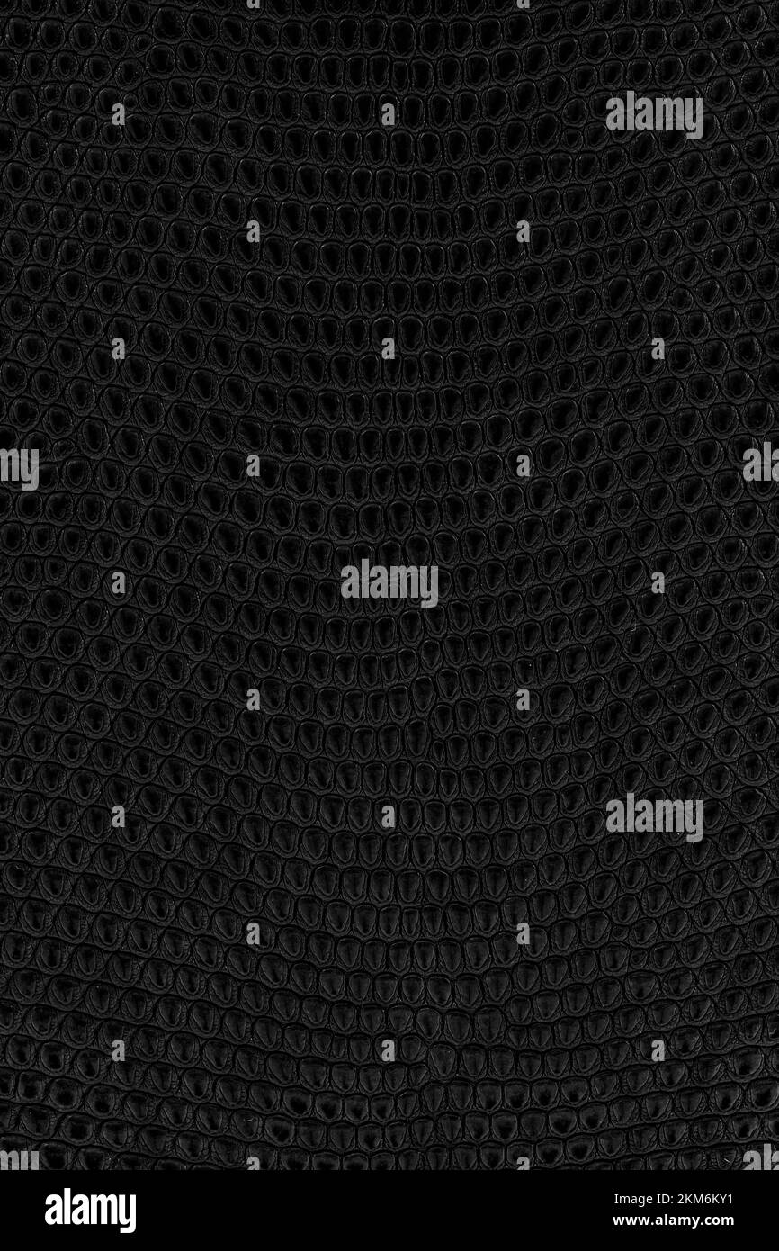 black lizard skin. reptile leather texture background Stock Photo - Alamy