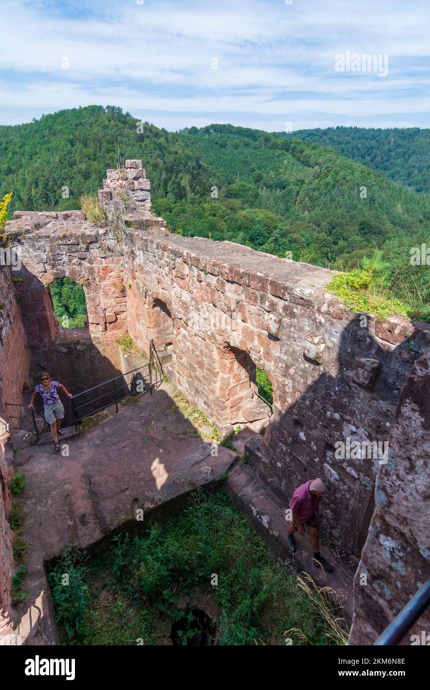 Niedersteinbach: Wasigenstein Castle in Palatinate Forest-North Vosges ...