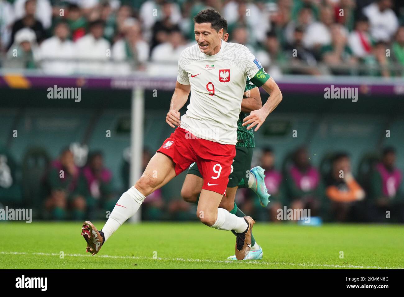 Robert Lewandowski during the FIFA World Cup, Qatar. , . in Doha, Qatar ...