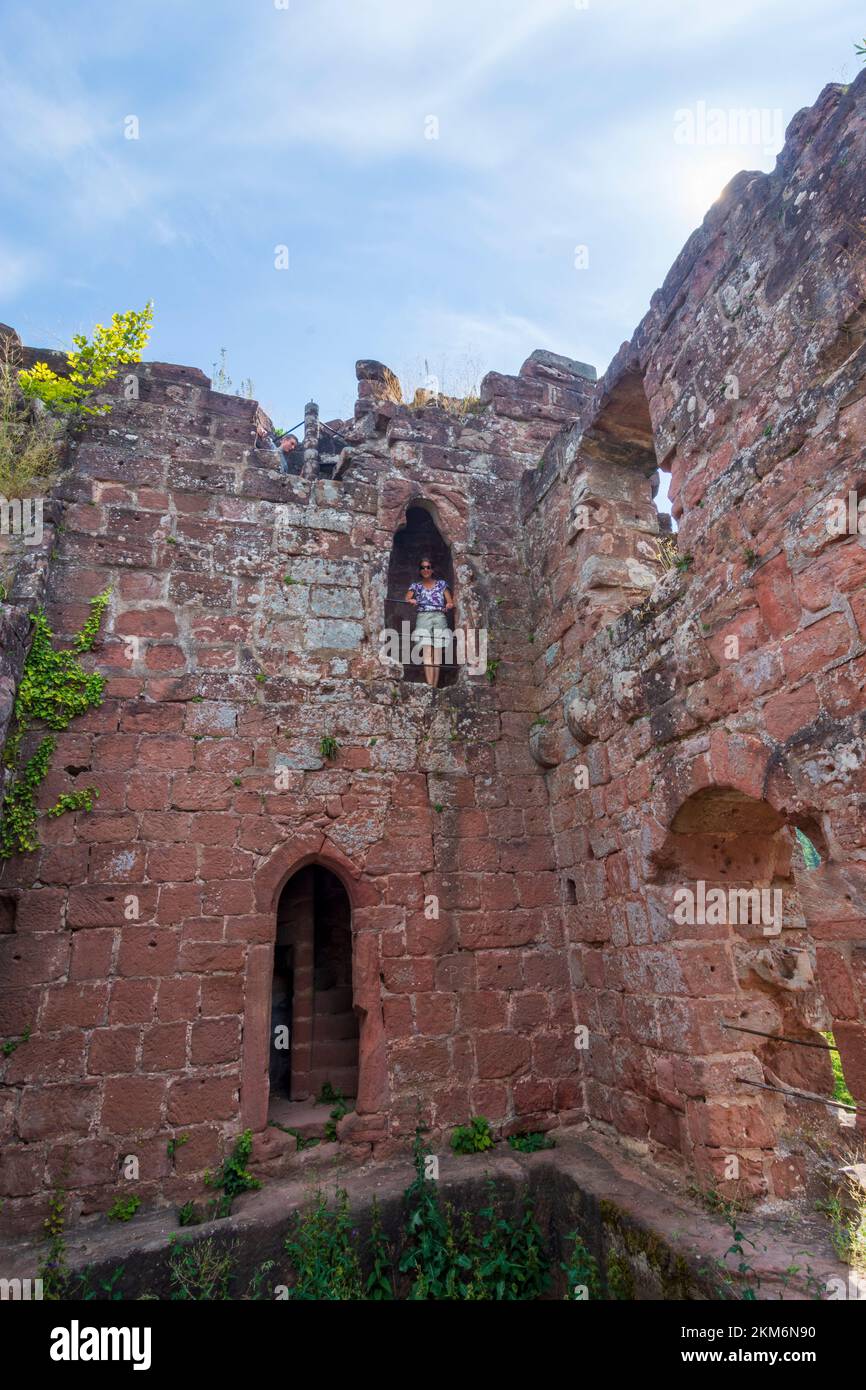 Niedersteinbach: Wasigenstein Castle in Palatinate Forest-North Vosges ...