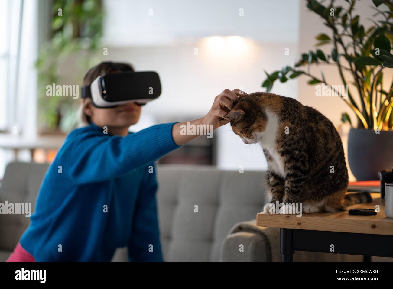 Positive woman in VR helmet petting cat sits on couch watching movie ...