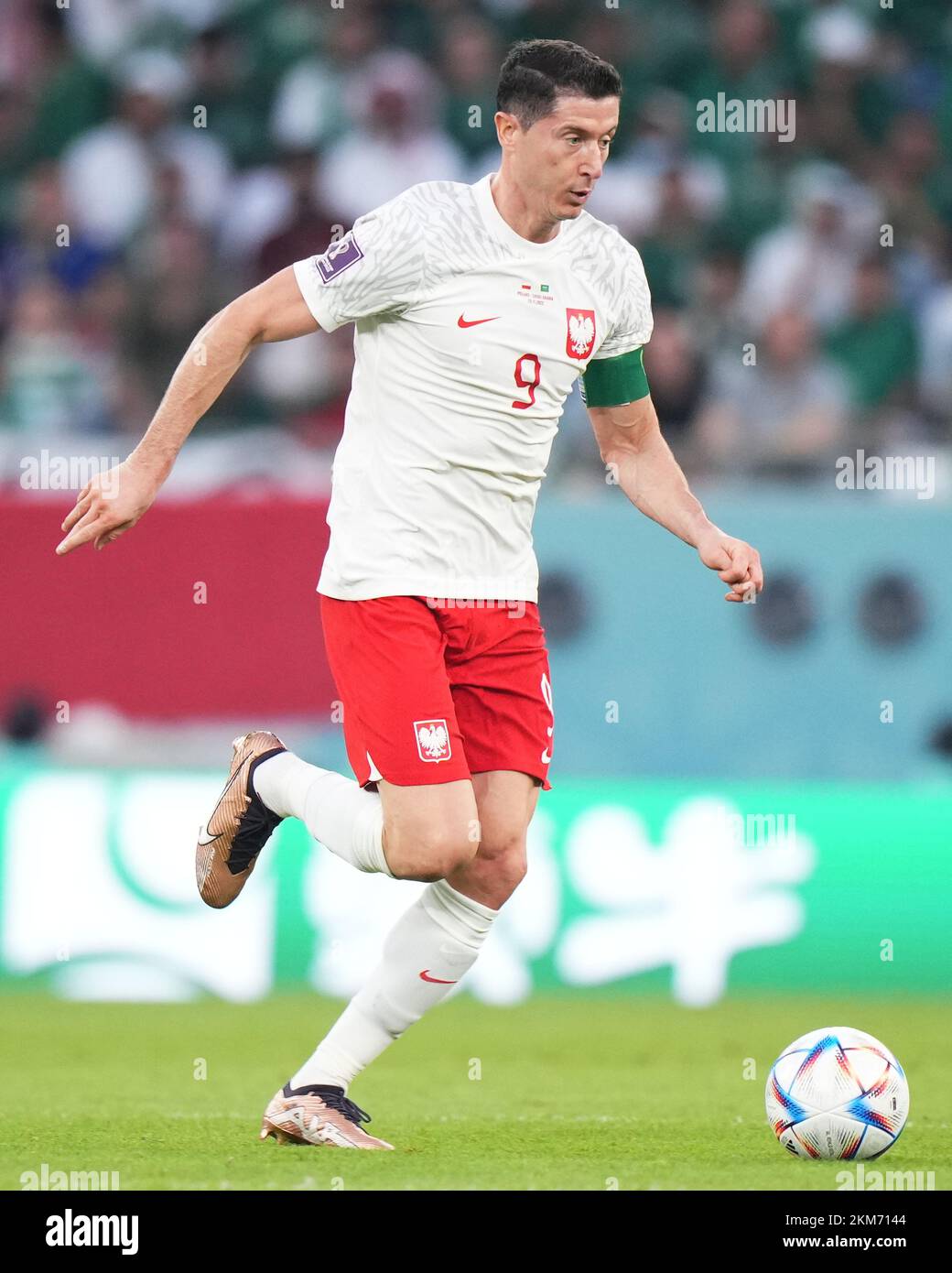 Robert Lewandowski during the FIFA World Cup, Qatar. , . in Doha, Qatar ...