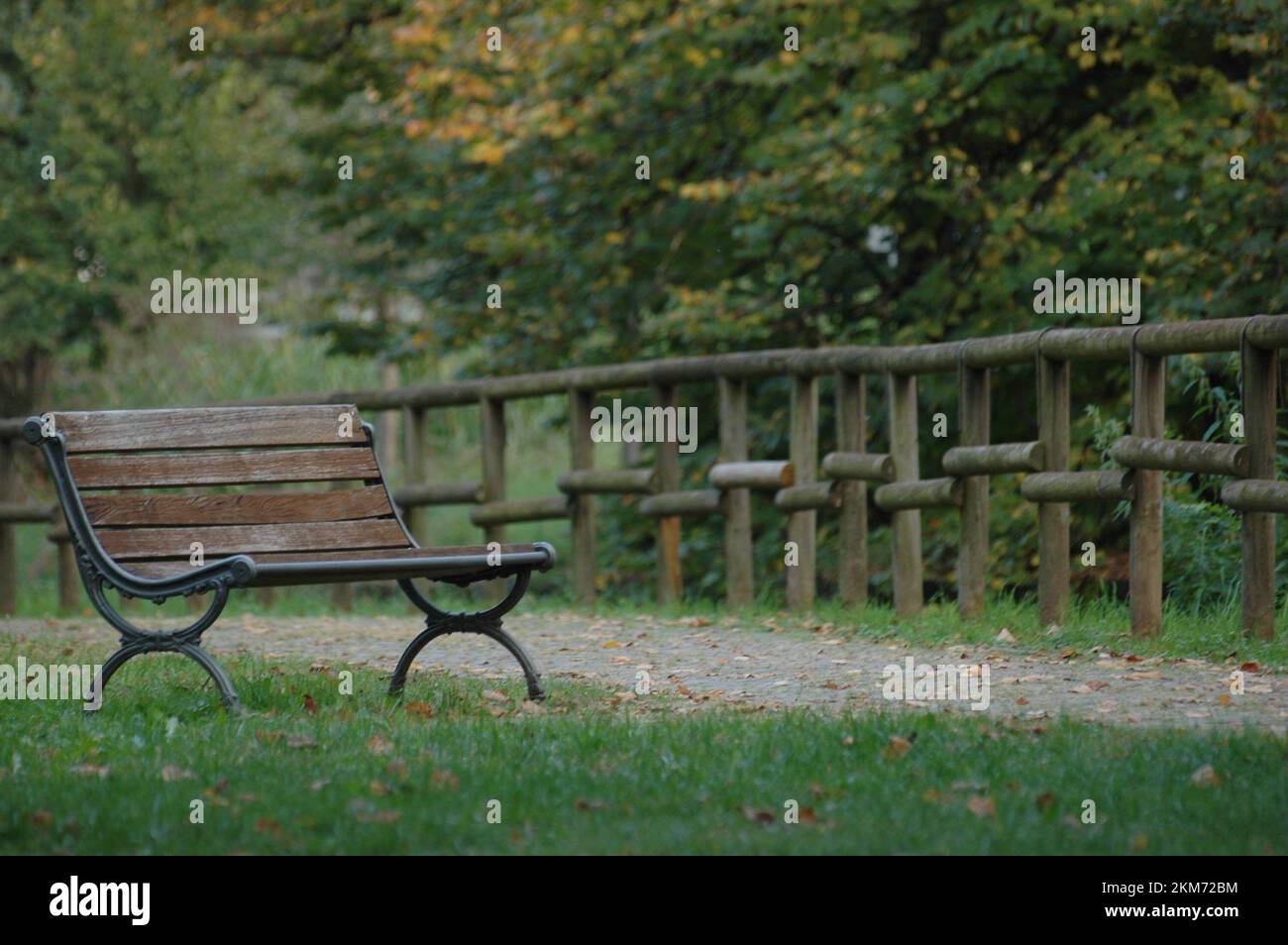 A scenic view of a wooden bench in a green park in autumn Stock Photo ...