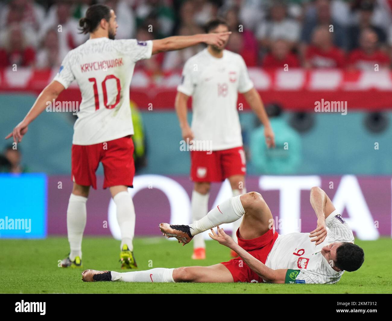 Robert Lewandowski during the FIFA World Cup, Qatar. , . in Doha, Qatar ...