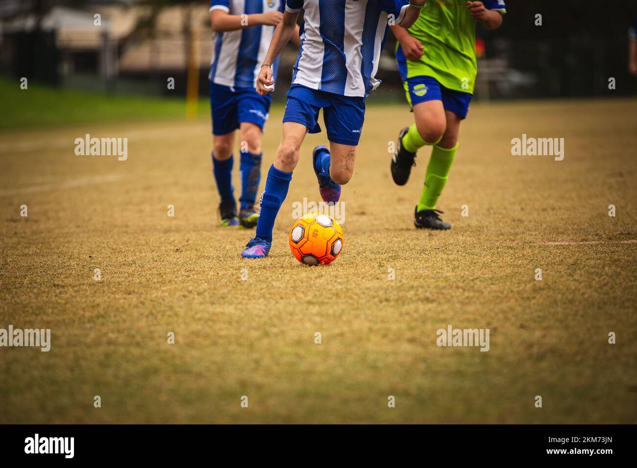 The young soccer players running after the ball Stock Photo - Alamy