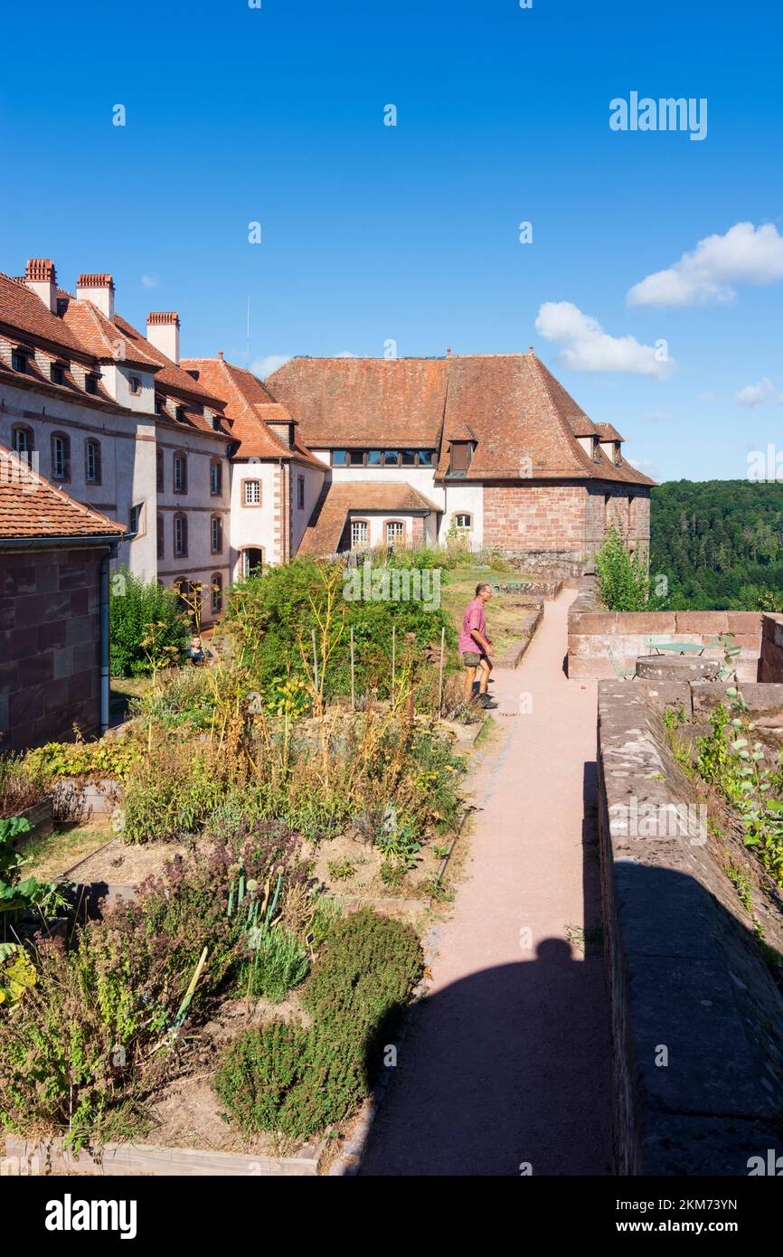 Chateau de la petite pierre lutzelstein castle in alsace elsass hi-res ...