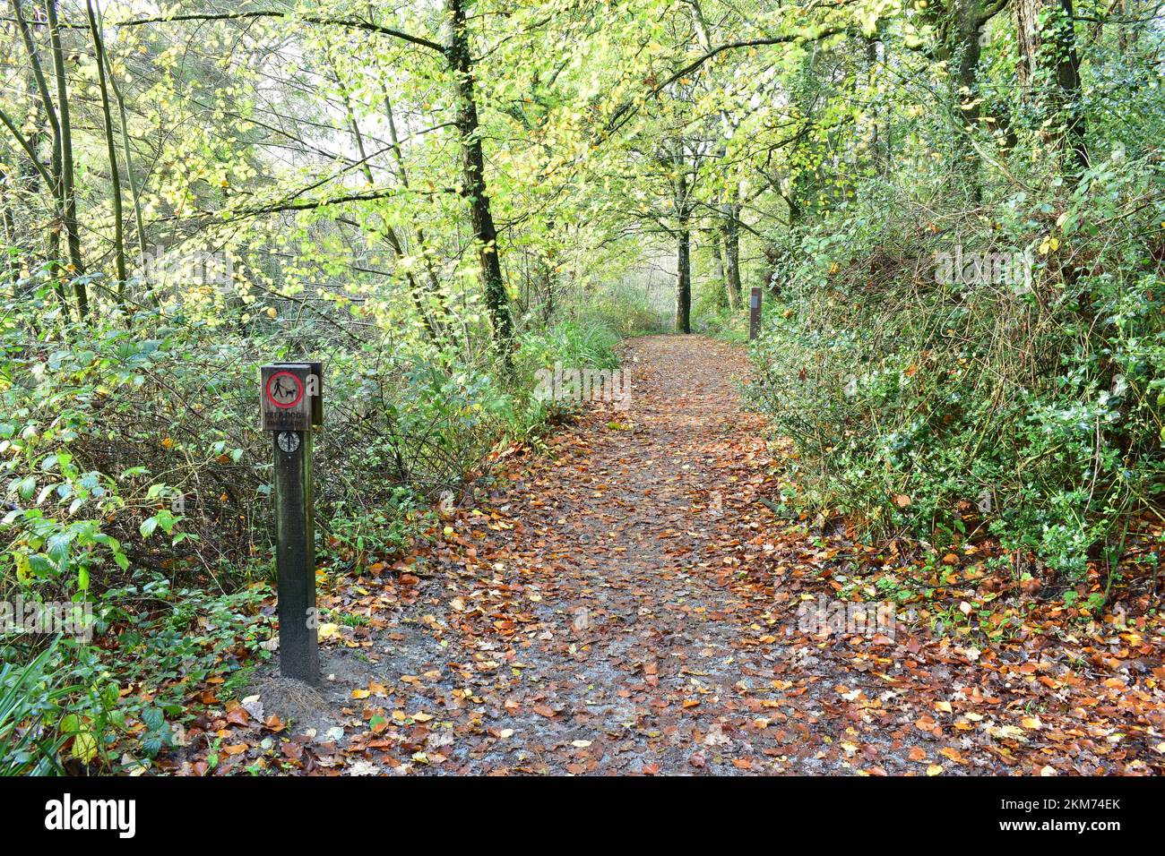 Stover Country Park Stock Photo - Alamy