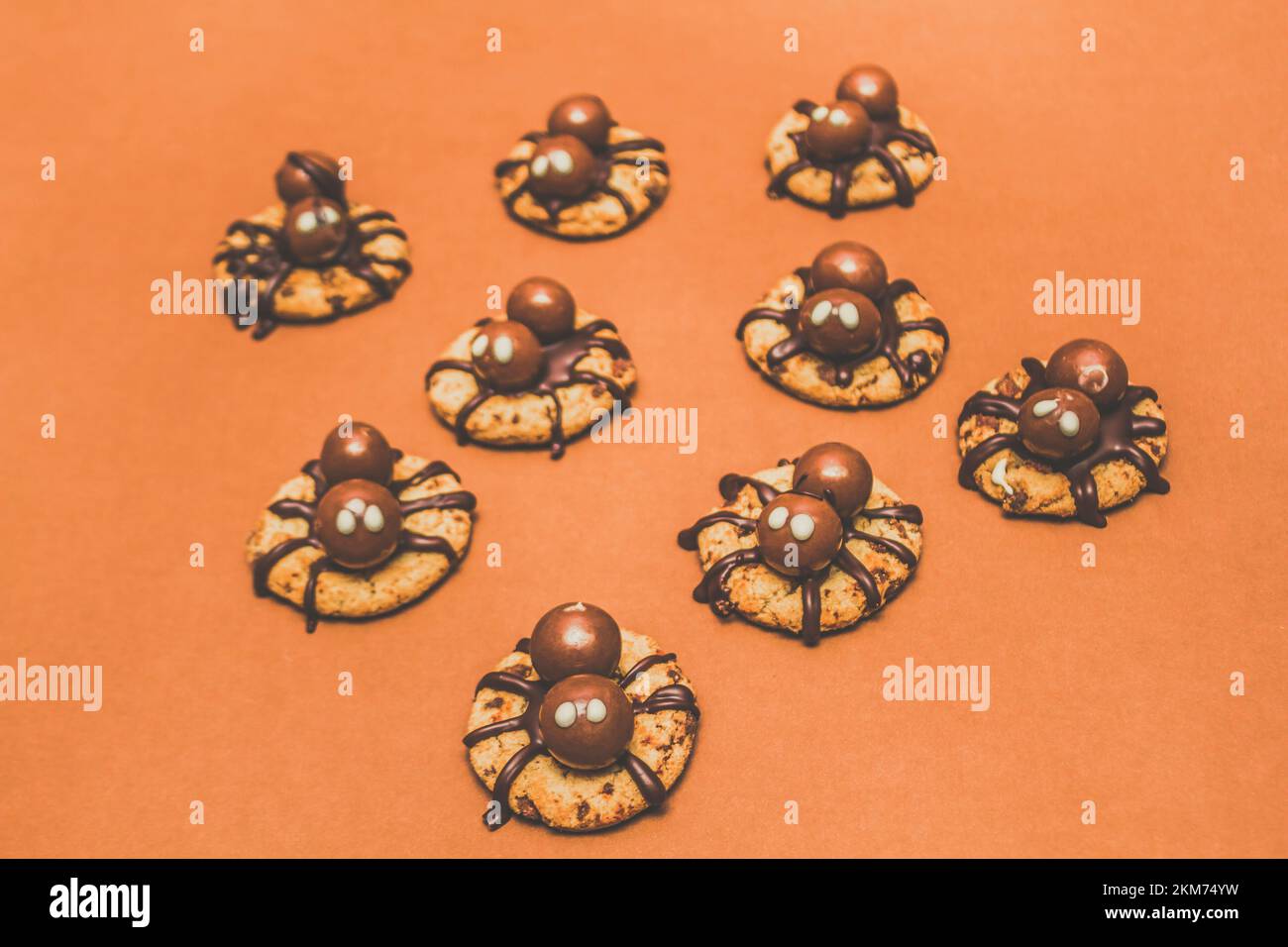 Crunchy spiders hi-res stock photography and images - Alamy