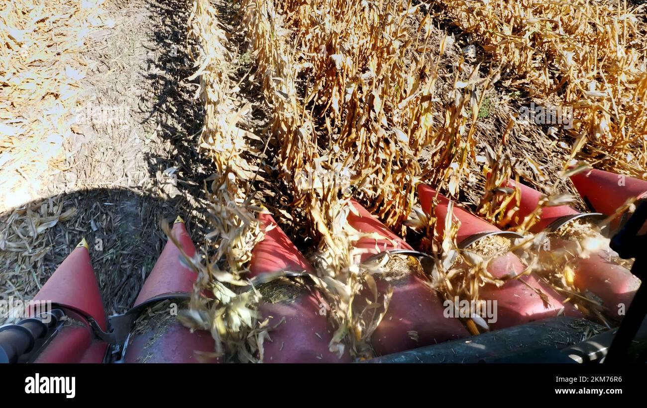 Close up view filtering process hi-res stock photography and images - Alamy