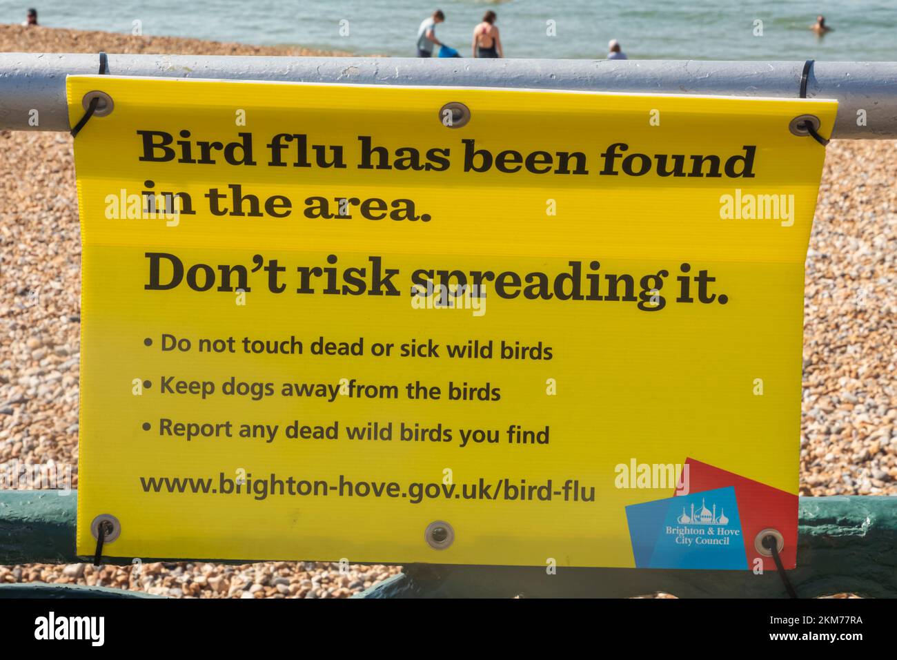 England, East Sussex, Brighton, Brighton Beach, Bird Flu Warning Sign ...