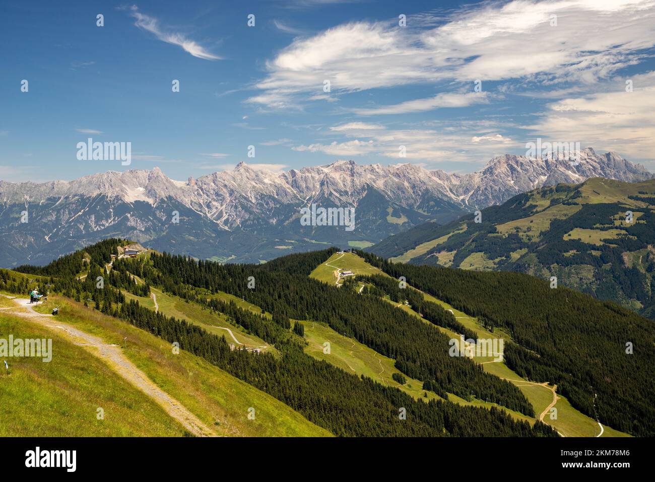 A beautiful scenery of a green forested hillside on the background of ...