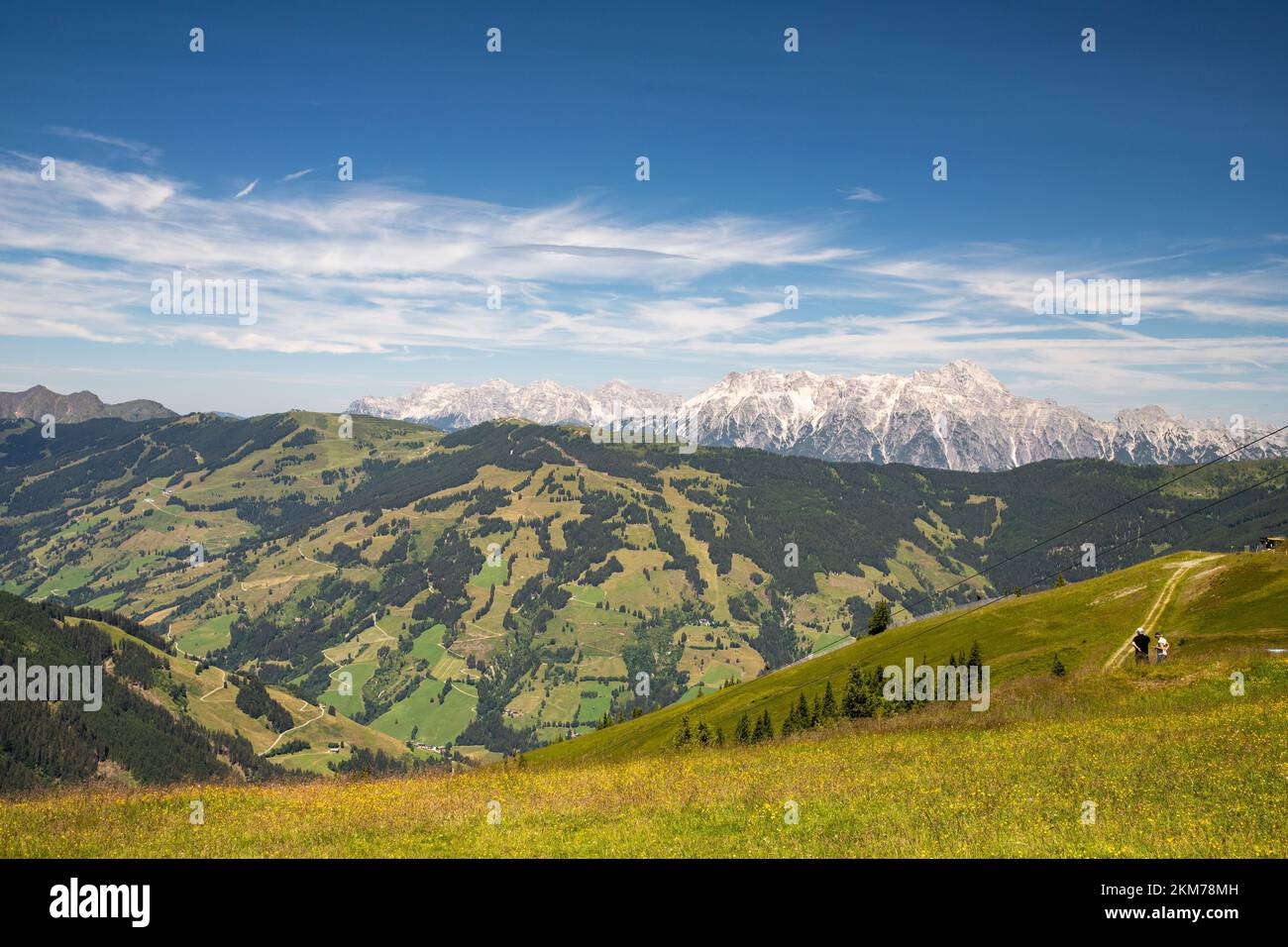 A beautiful scenery of a green forested hillside on the background of ...