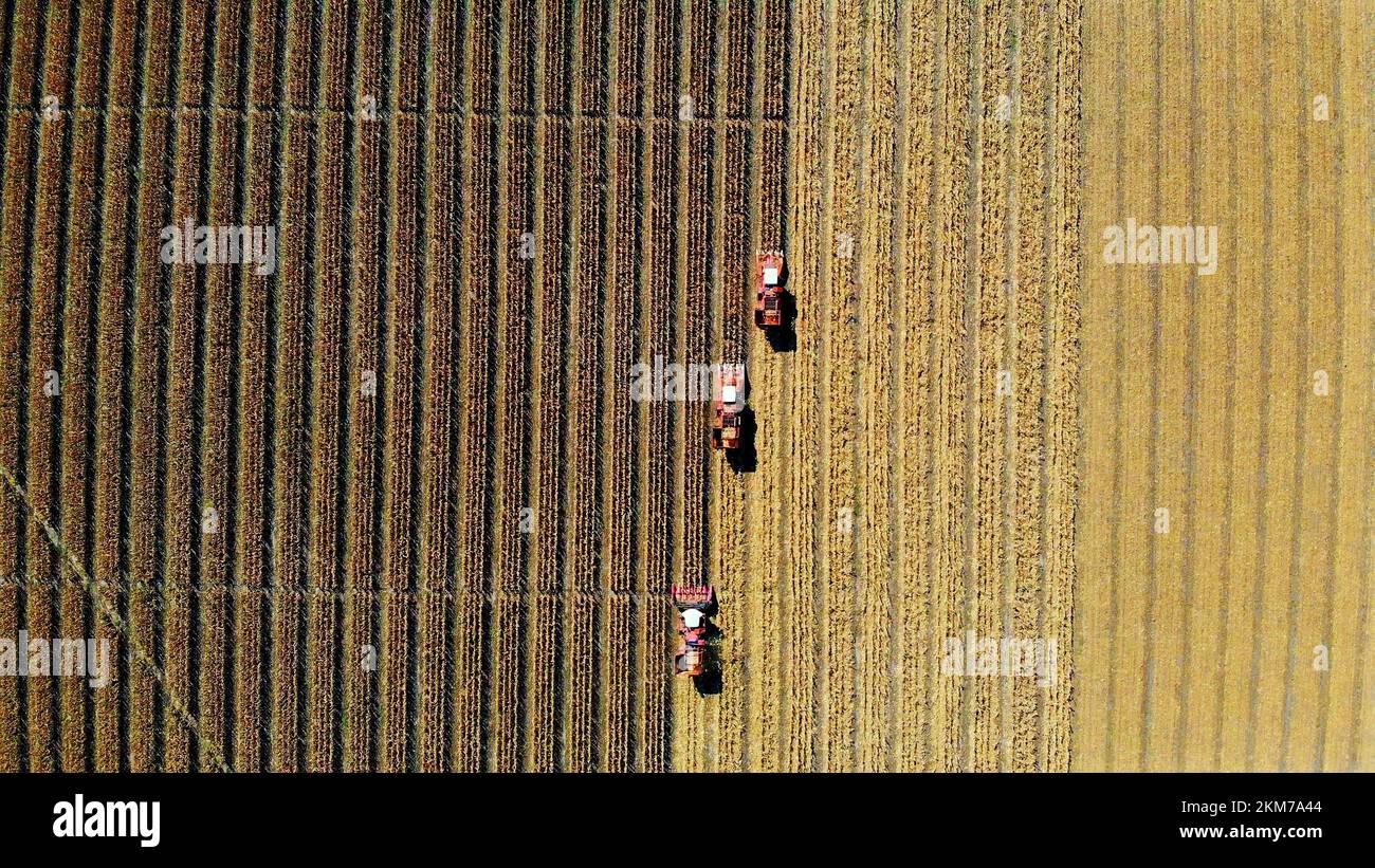 Aerial top view three tractors hi-res stock photography and images - Alamy