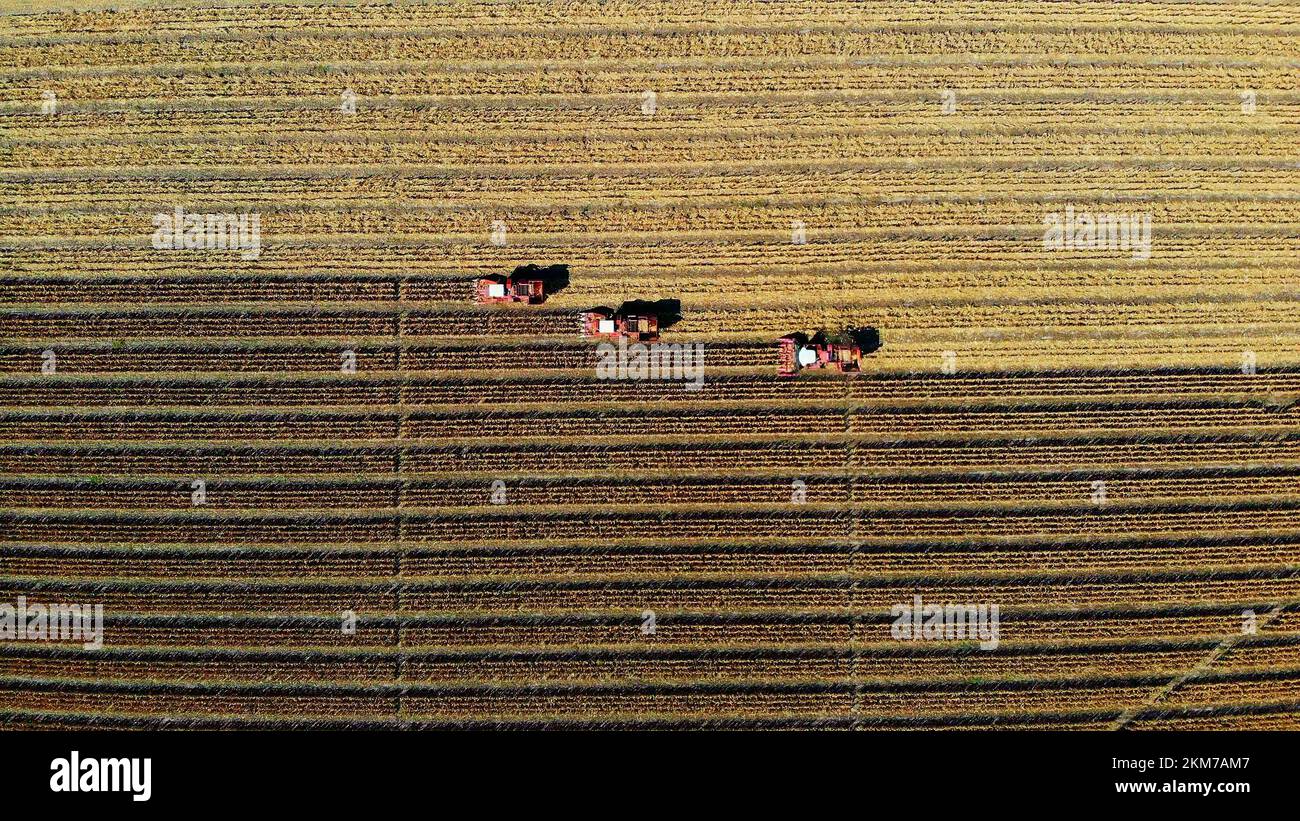 Aerial top view three tractors hi-res stock photography and images - Alamy