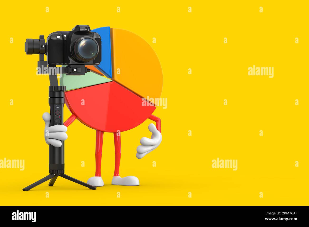 Info Graphics Business Pie Chart Character Person with DSLR or Video ...