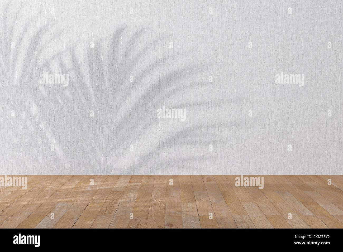 Shadow of Tree and Sunlight on Empty Room White Wall and Wooden Plank ...