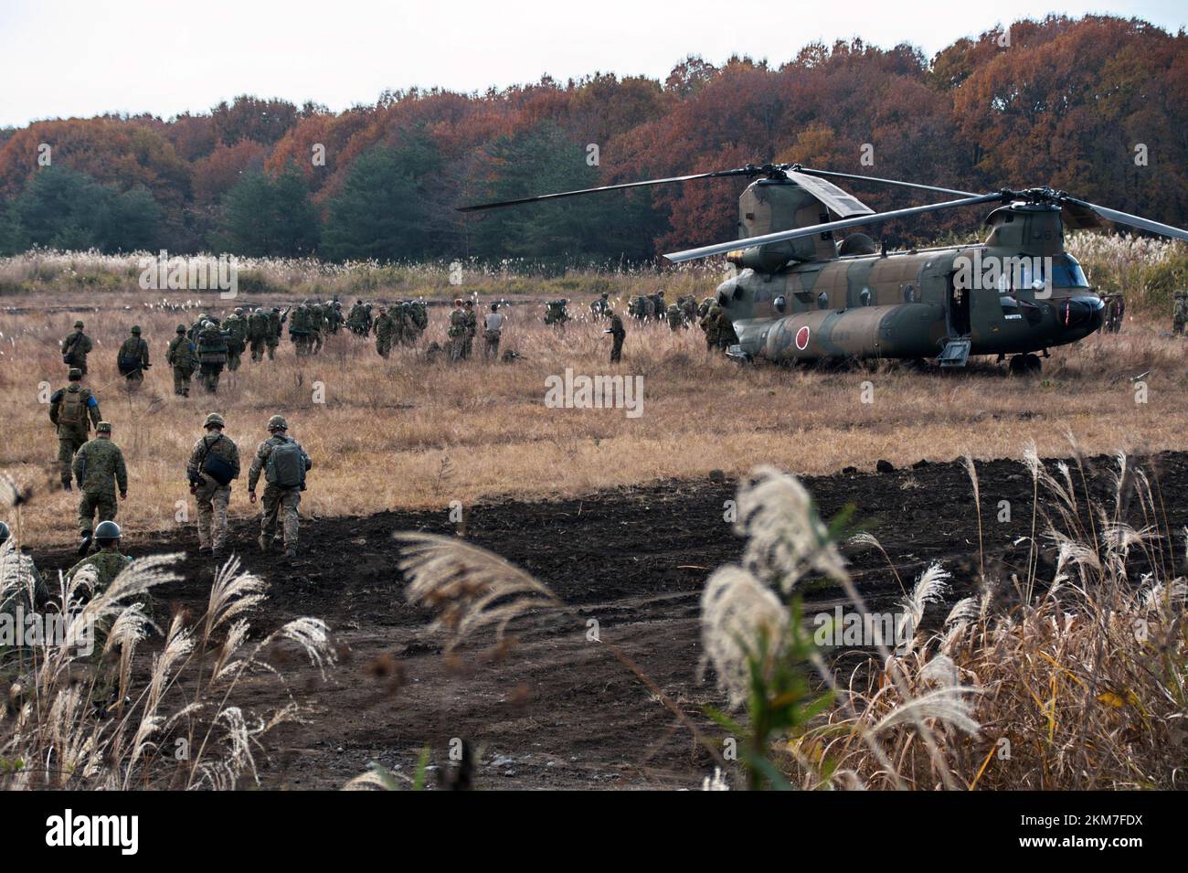 Shinto, Japan. 26th Nov, 2022. Member of Japan Ground Self-Defense ...