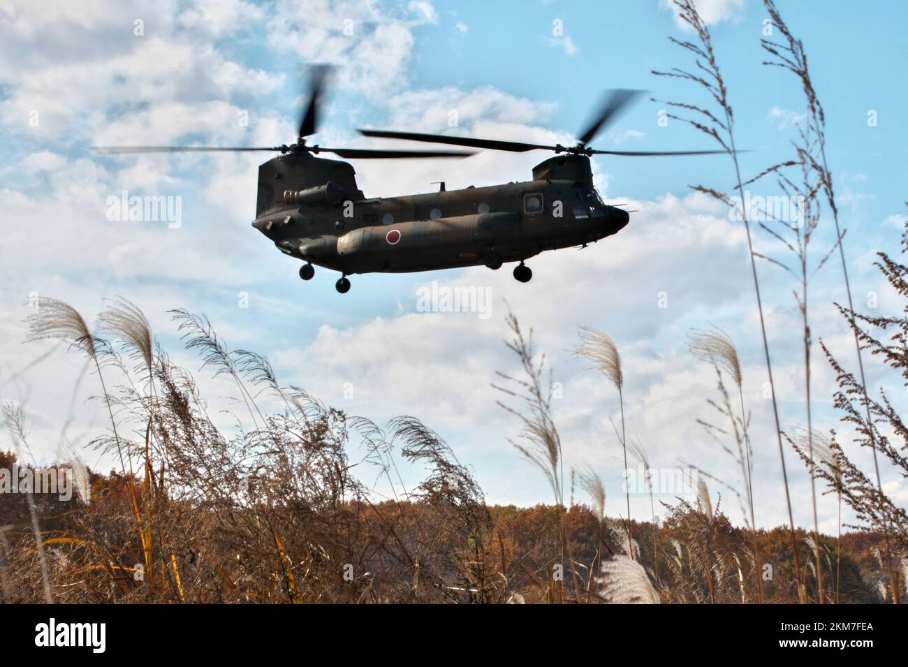 Shinto, Japan. 26th Nov, 2022. Member of Japan Ground Self-Defense ...