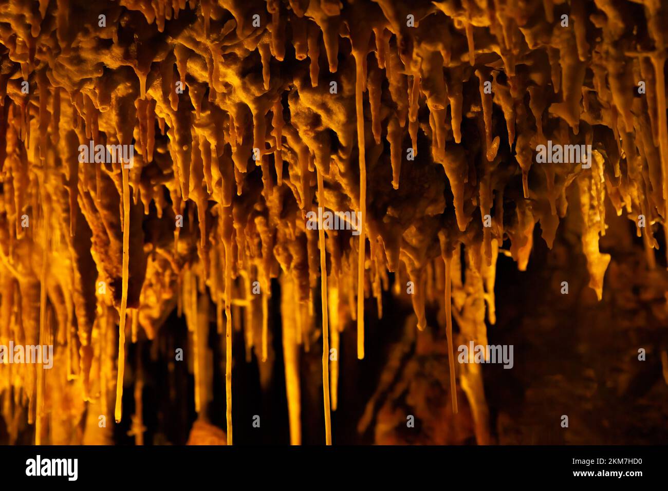 A scenic view inside a cave illuminated with mystic lights Stock Photo ...