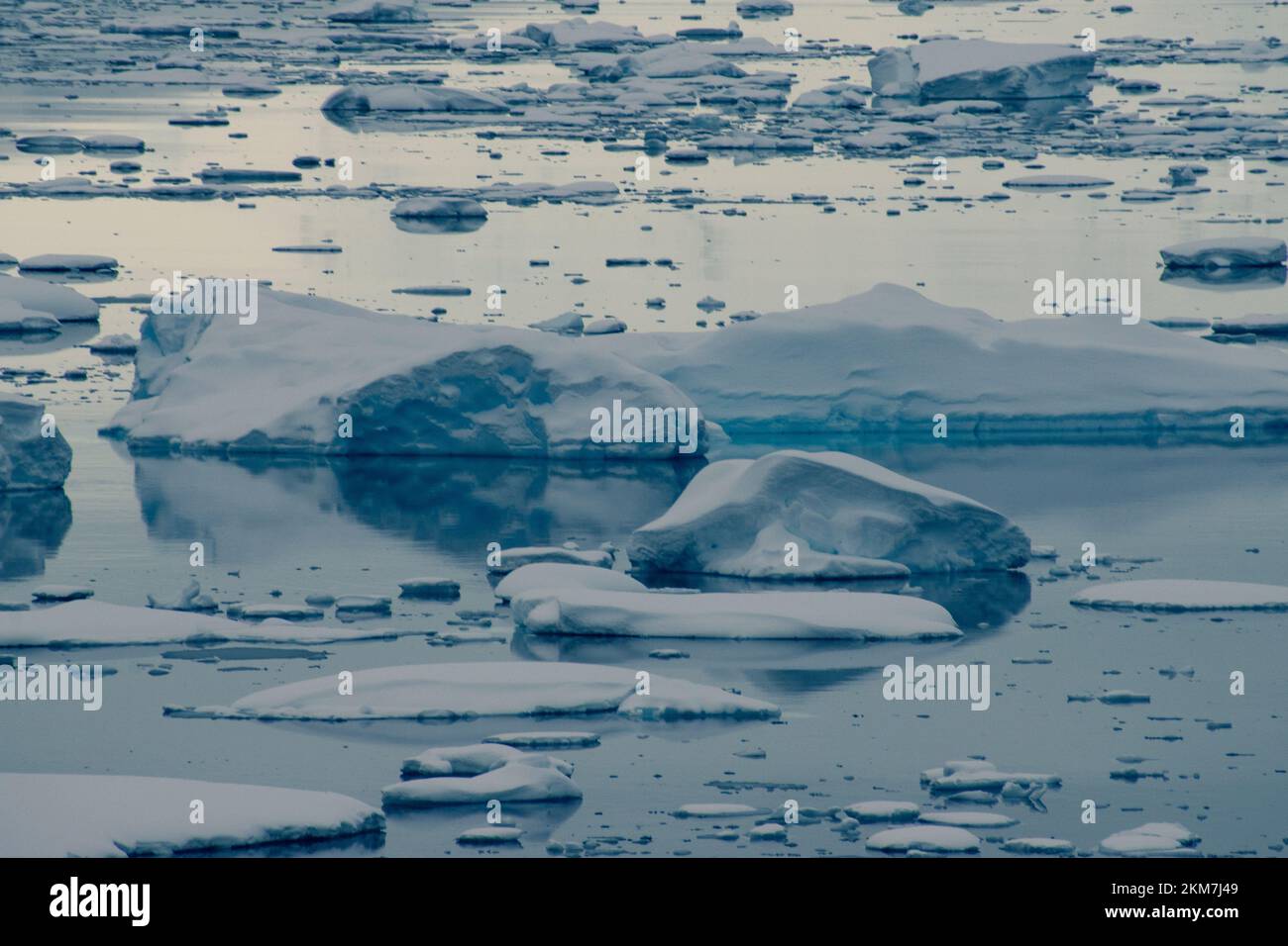 The Ice feild's and icebergs flowing in the Antarcatica Ocean. With ...