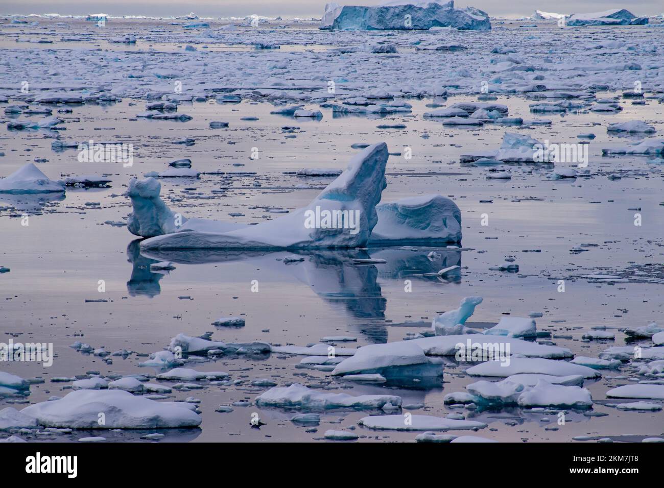 The Ice feild's and icebergs flowing in the Antarcatica Ocean. With ...