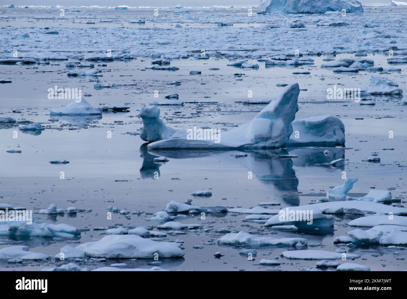 The Ice feild's and icebergs flowing in the Antarcatica Ocean. With ...