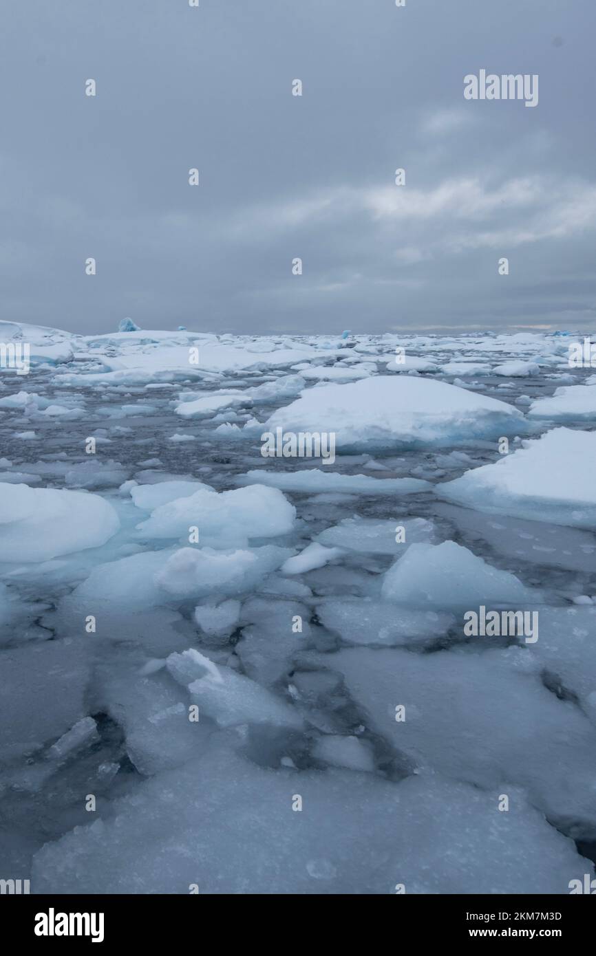 The Ice feild's and icebergs flowing in the Antarcatica Ocean. With ...